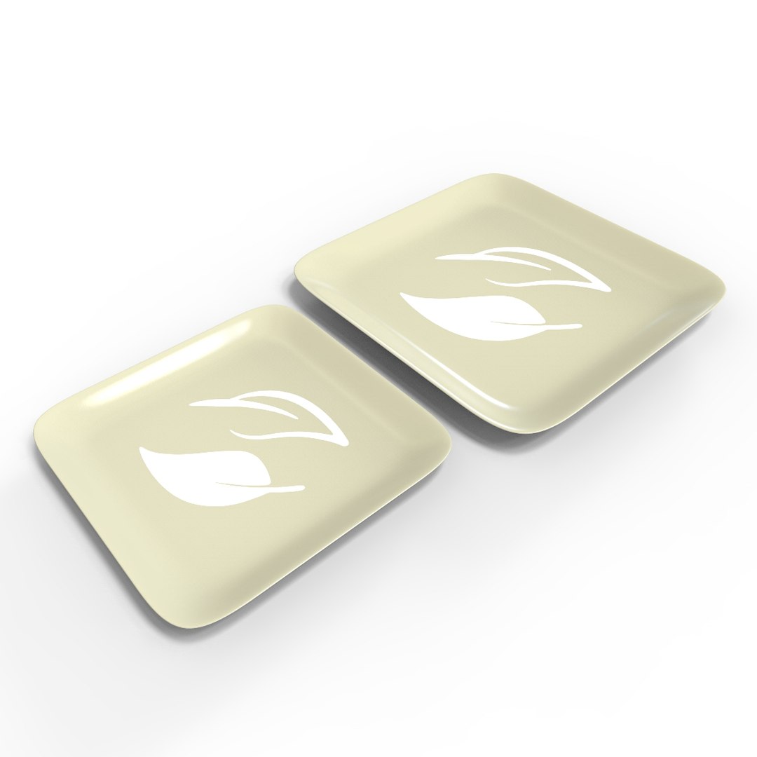 3d model plate design modelled