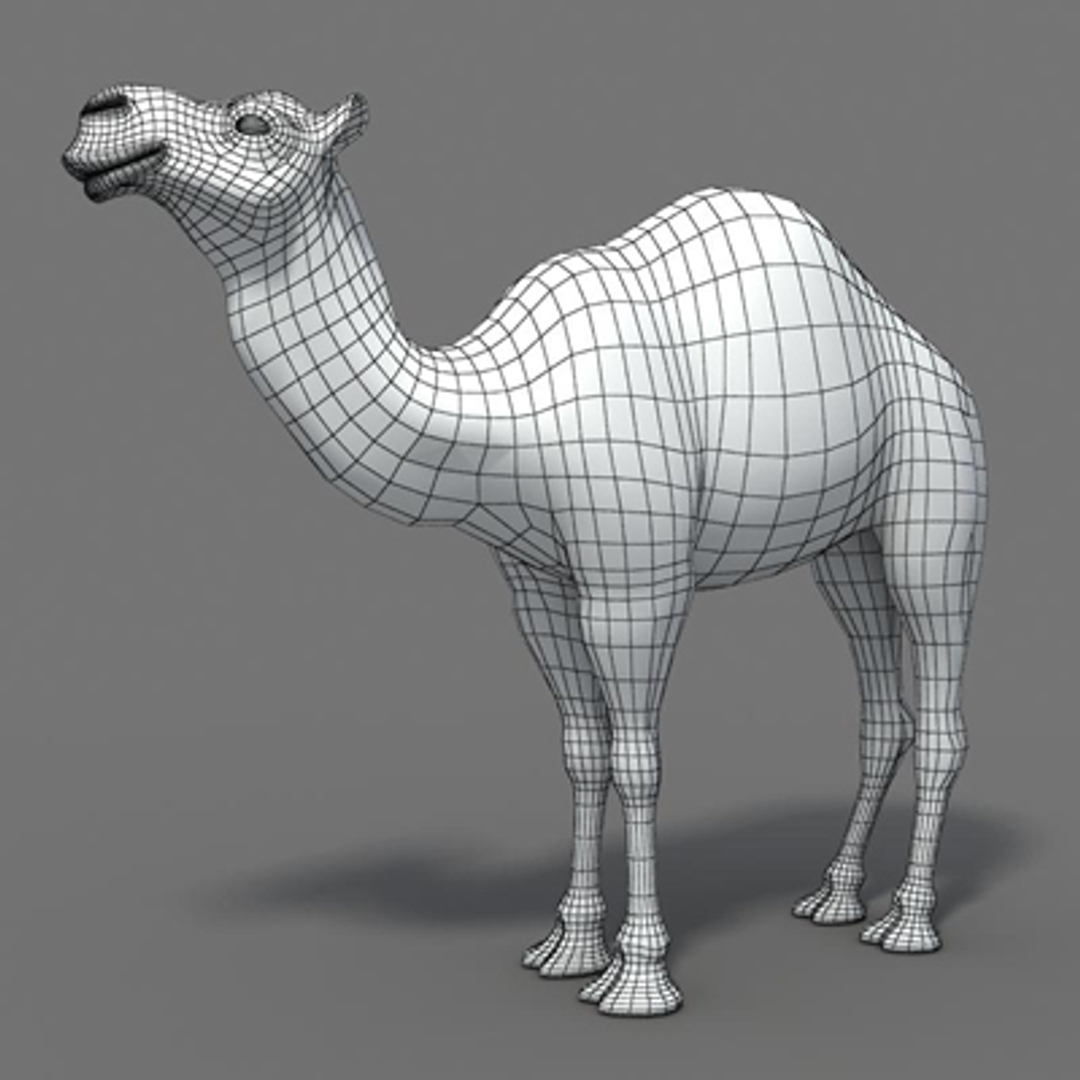 3d model arabian camel hump