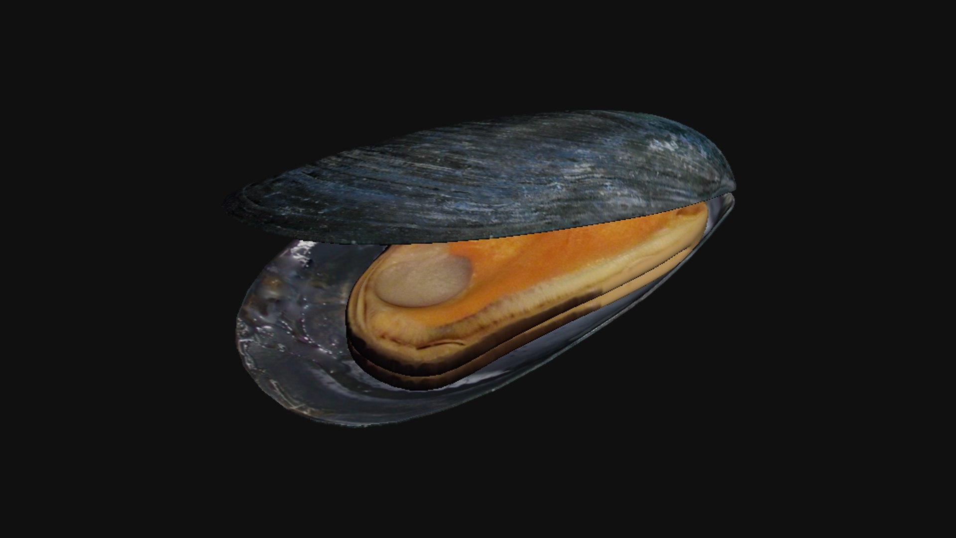 3D Moule Mold - TurboSquid 1297133