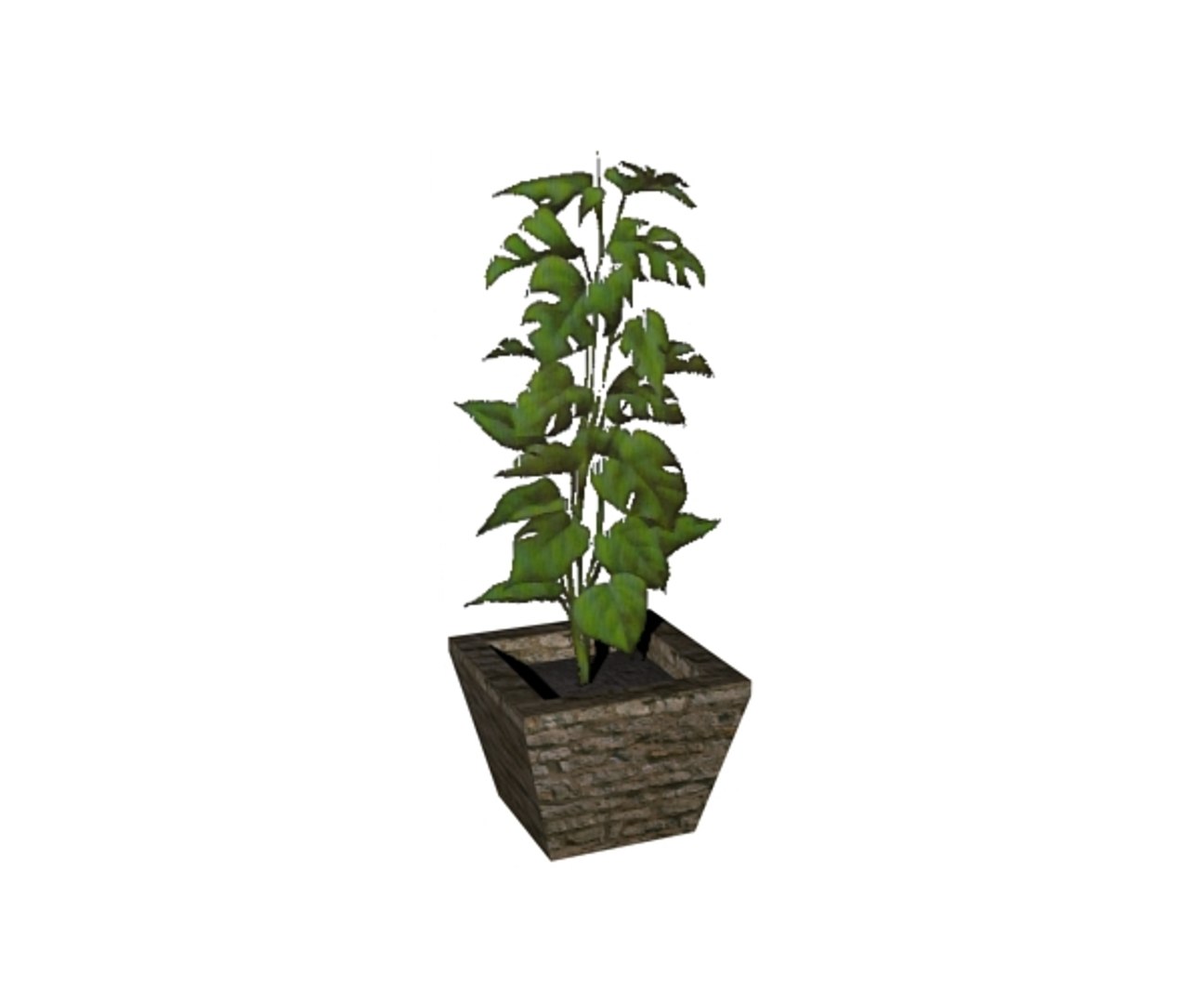 3d Monstera Plant Pot