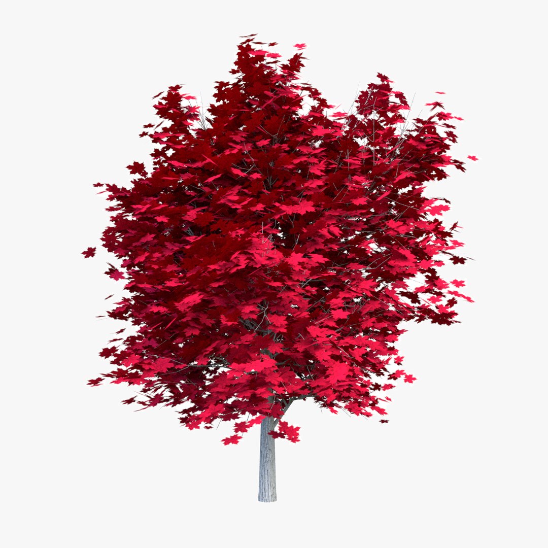 Unreal Red Maple Leaf 3D Model - TurboSquid 1420646