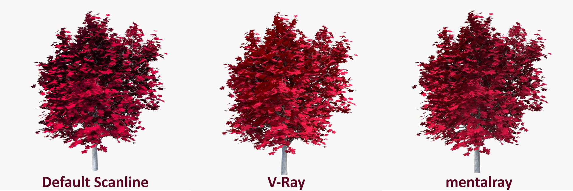Unreal Red Maple Leaf 3D Model - TurboSquid 1420646