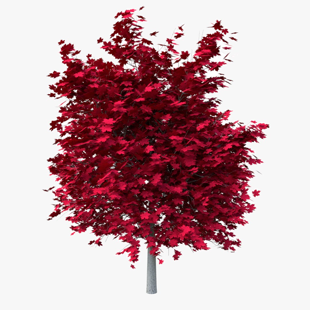 Unreal Red Maple Leaf 3D Model - TurboSquid 1420646
