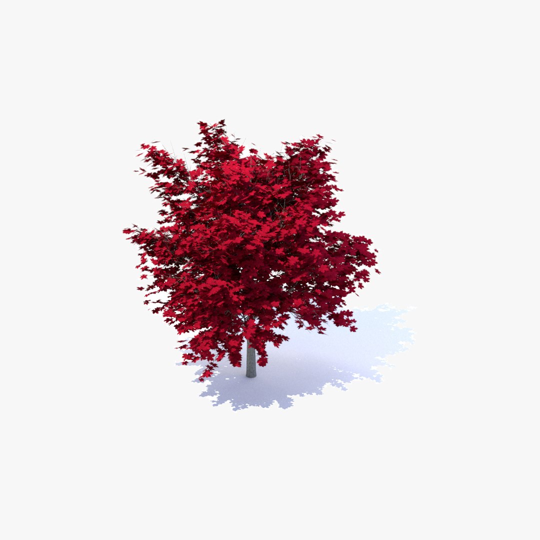 Unreal Red Maple Leaf 3D Model - TurboSquid 1420646
