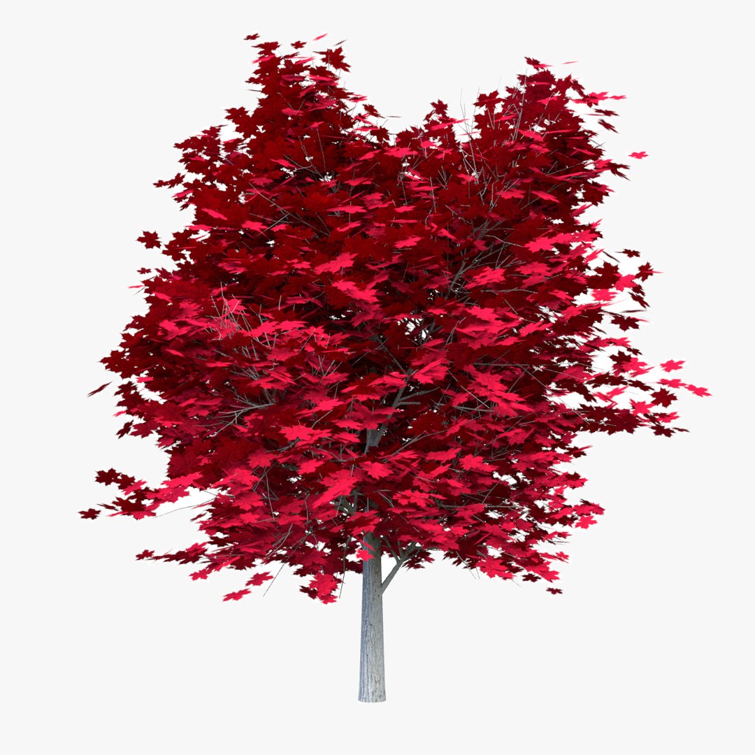 Unreal Red Maple Leaf 3D Model - TurboSquid 1420646