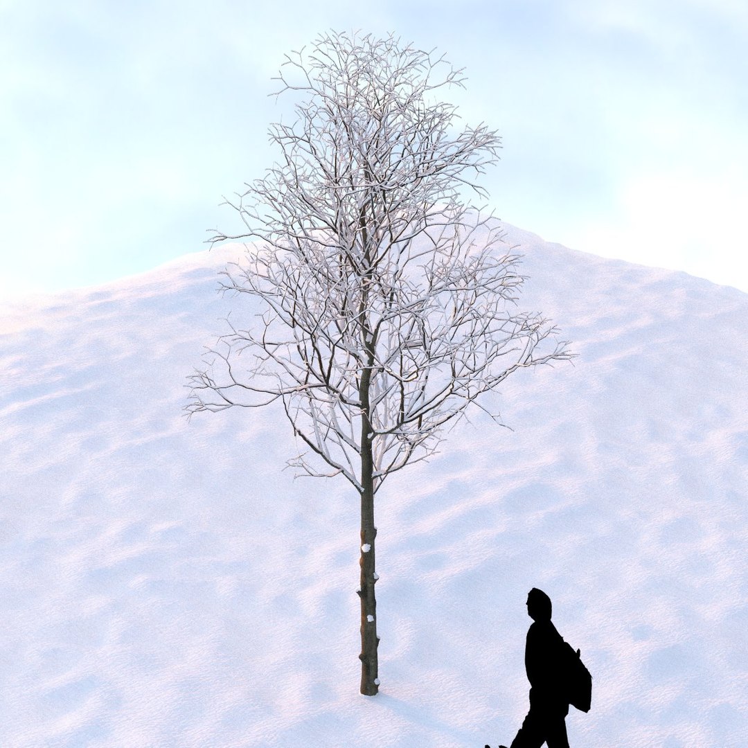 3d Model Winter Tree
