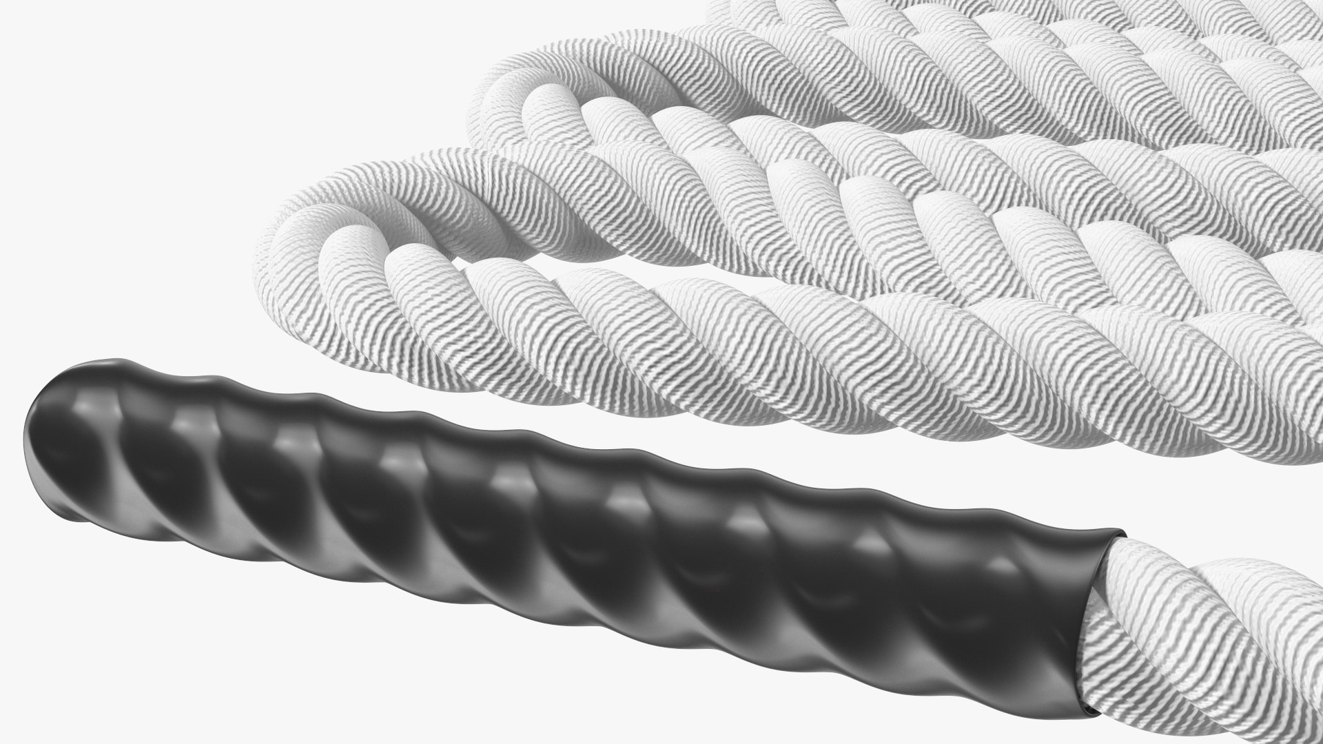 3D Workout Battle Rope Model - TurboSquid 1778352