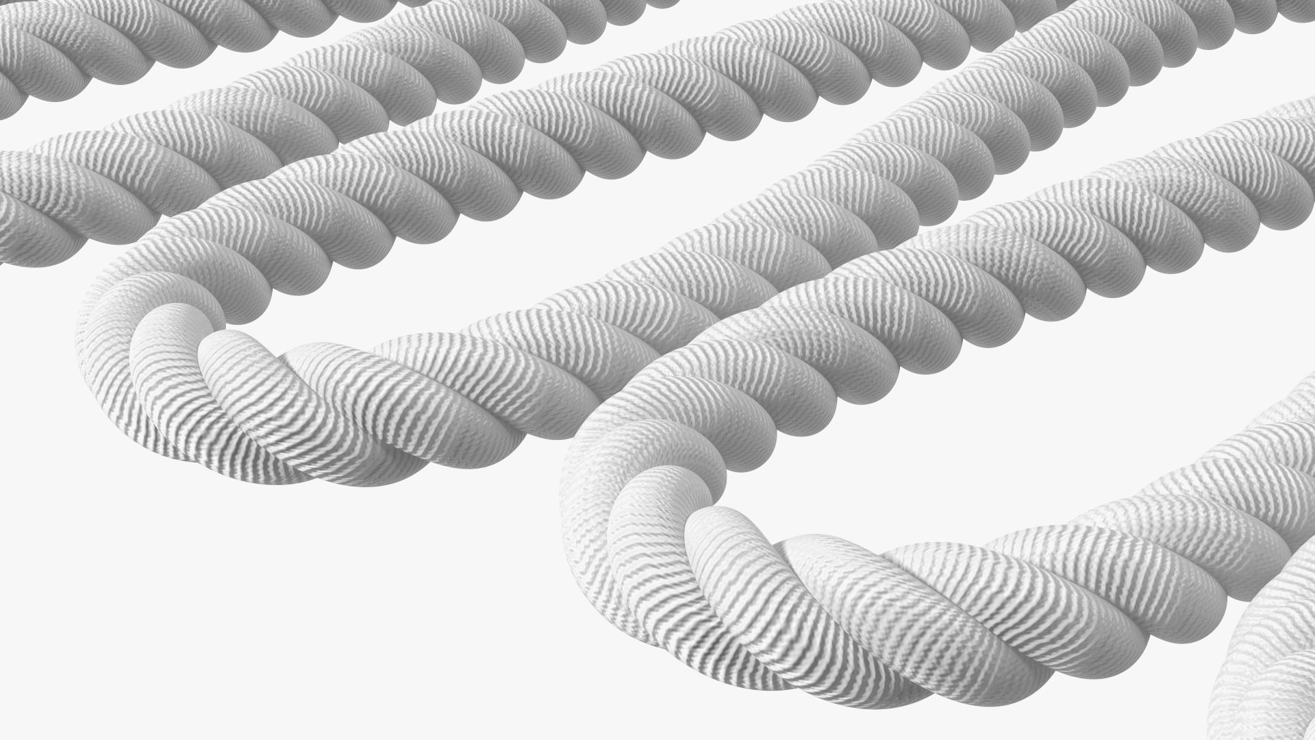 3D Workout Battle Rope Model - TurboSquid 1778352