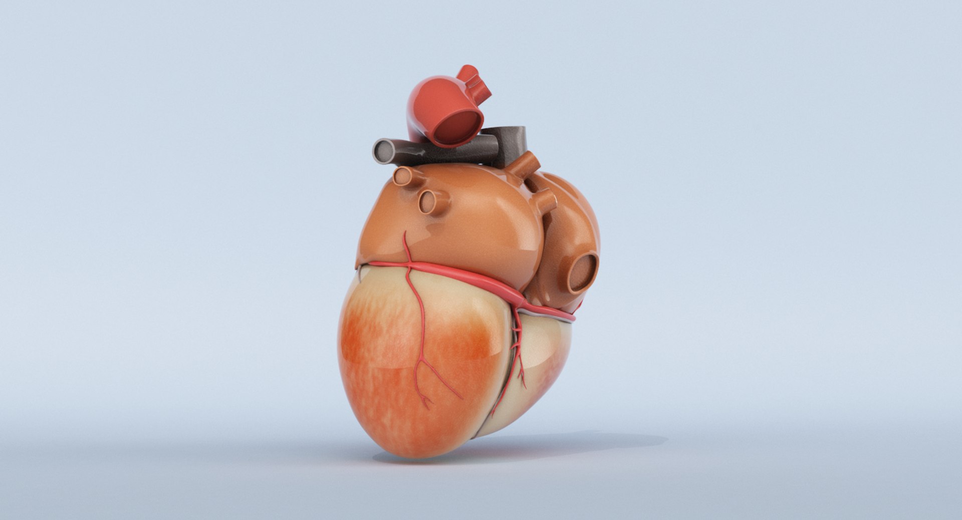 3d Heart