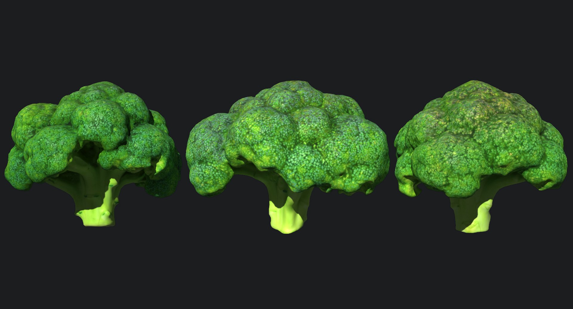 Broccoli Scan 3D | 1142471 | TurboSquid