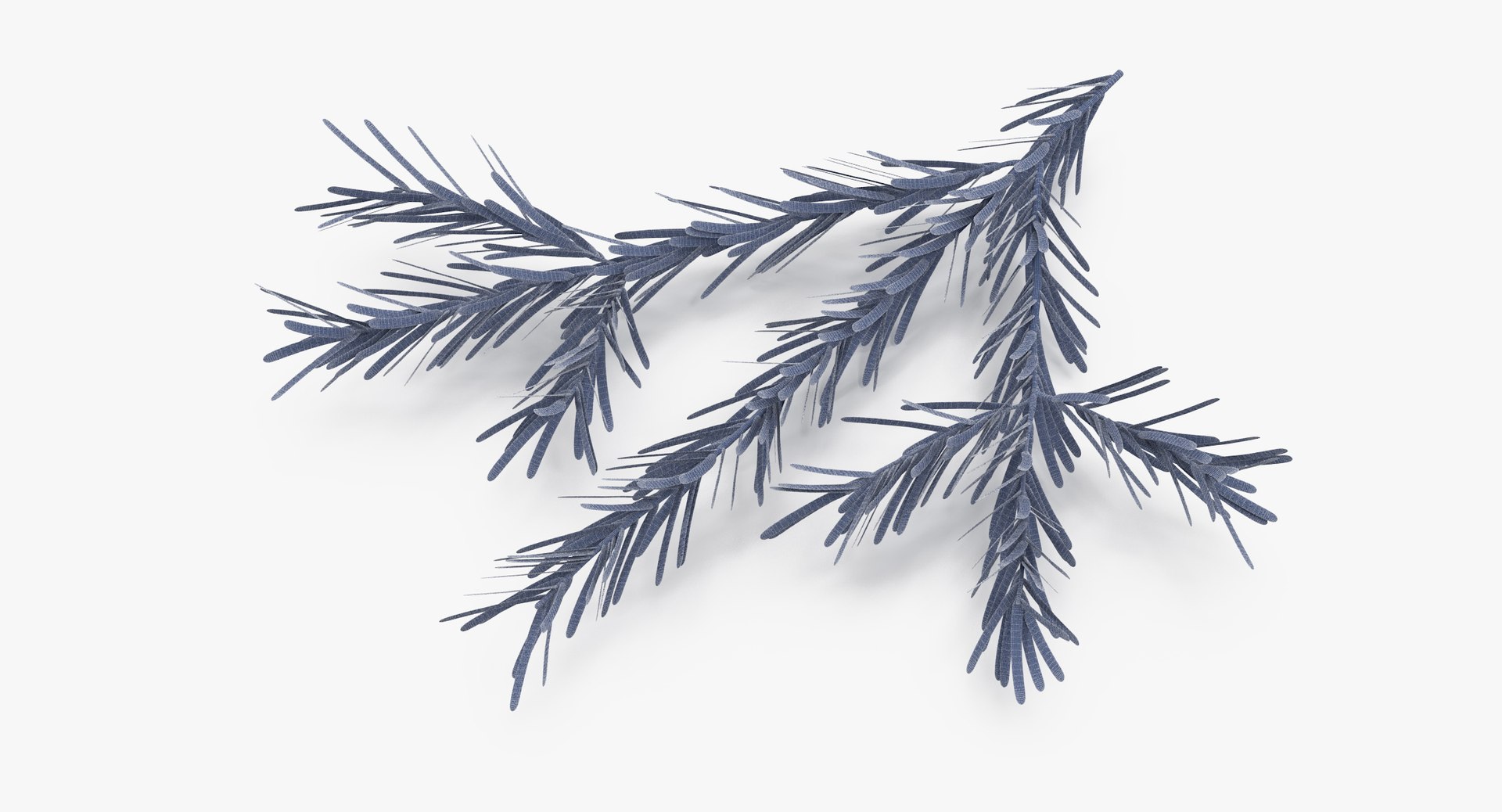 3d Model Pine Tree Sprig