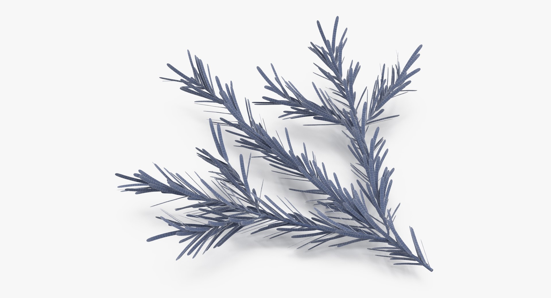 3d Model Pine Tree Sprig