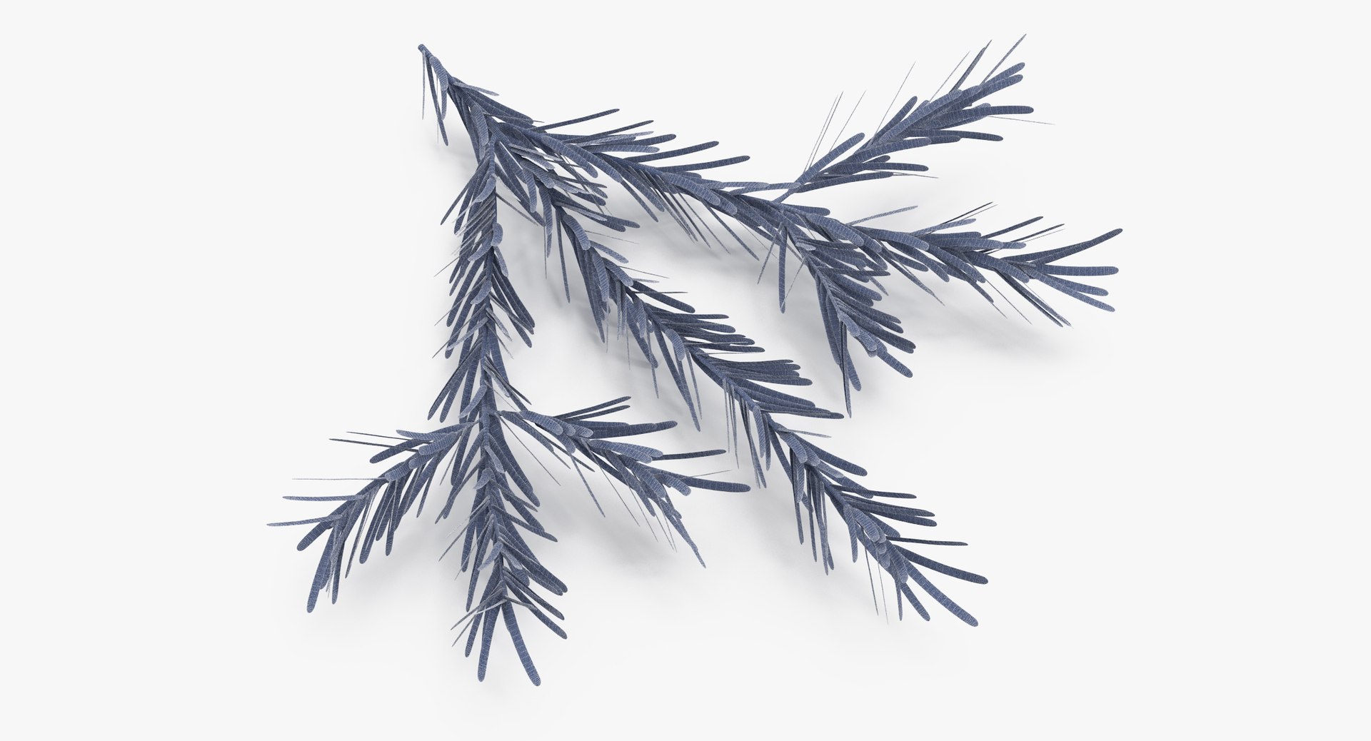 3d Model Pine Tree Sprig