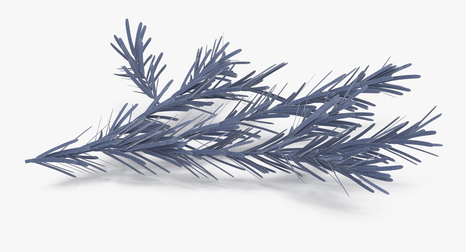 3d Model Pine Tree Sprig
