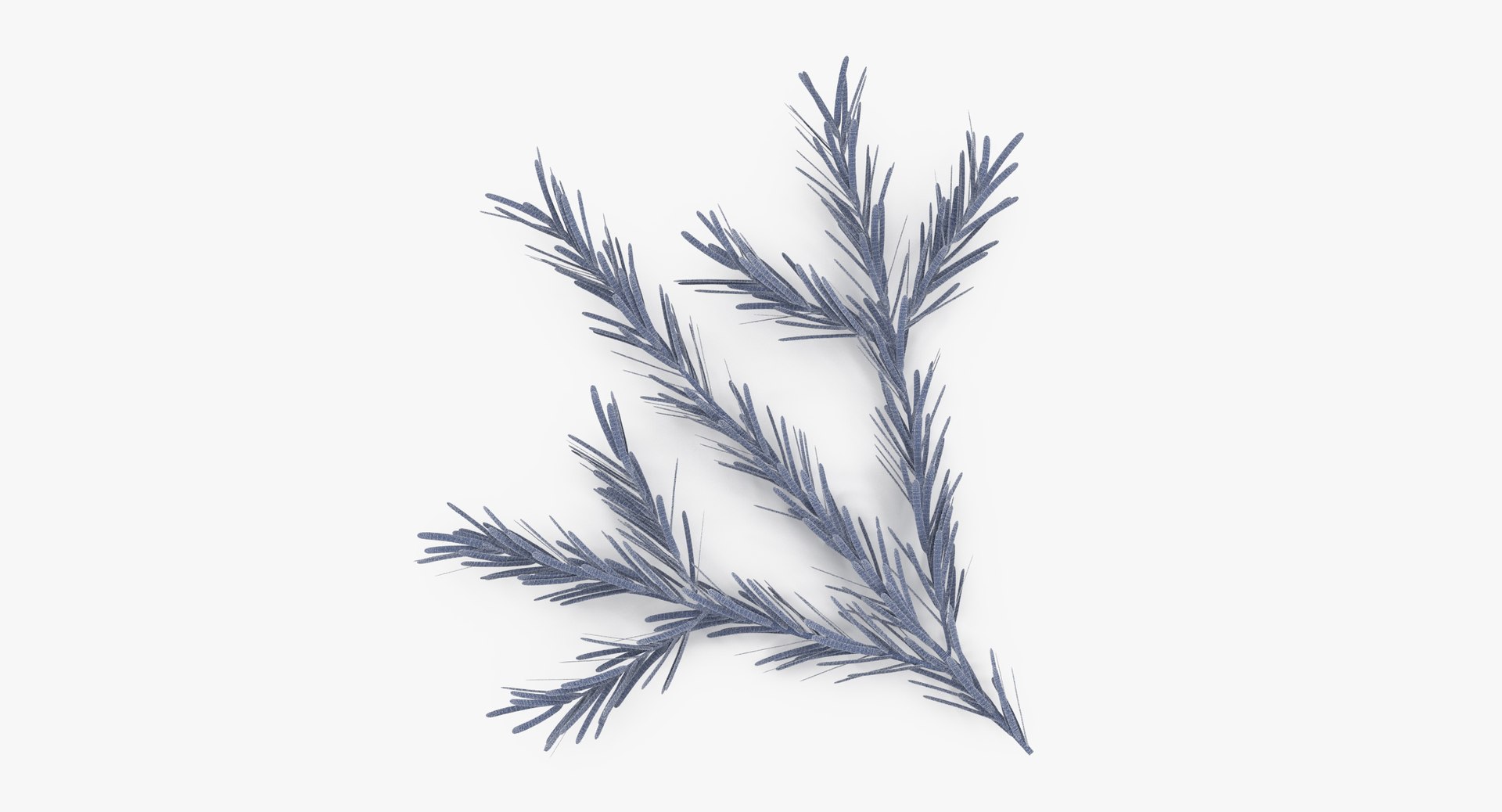 3d Model Pine Tree Sprig
