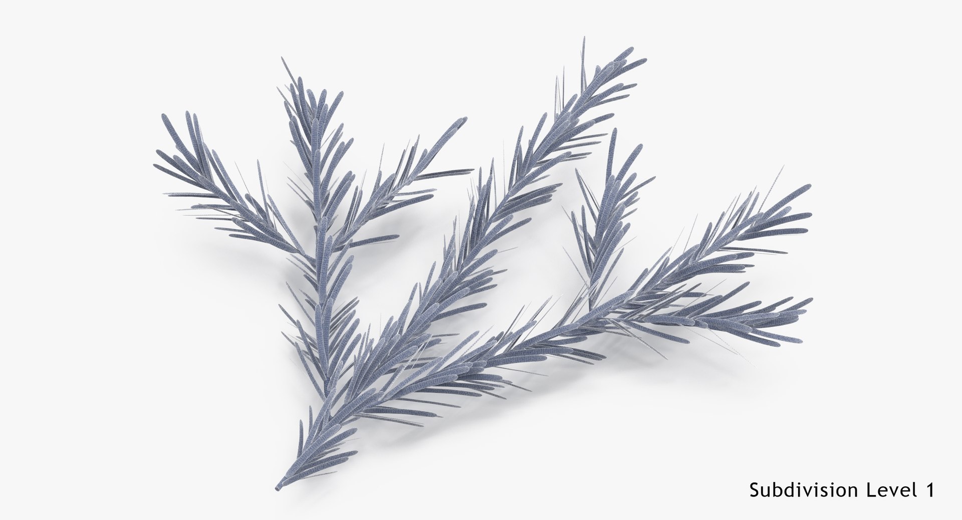3d Model Pine Tree Sprig