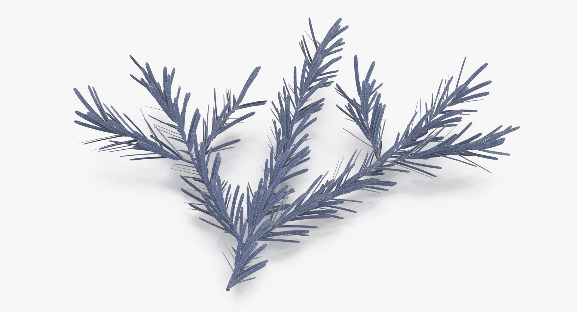 3d Model Pine Tree Sprig