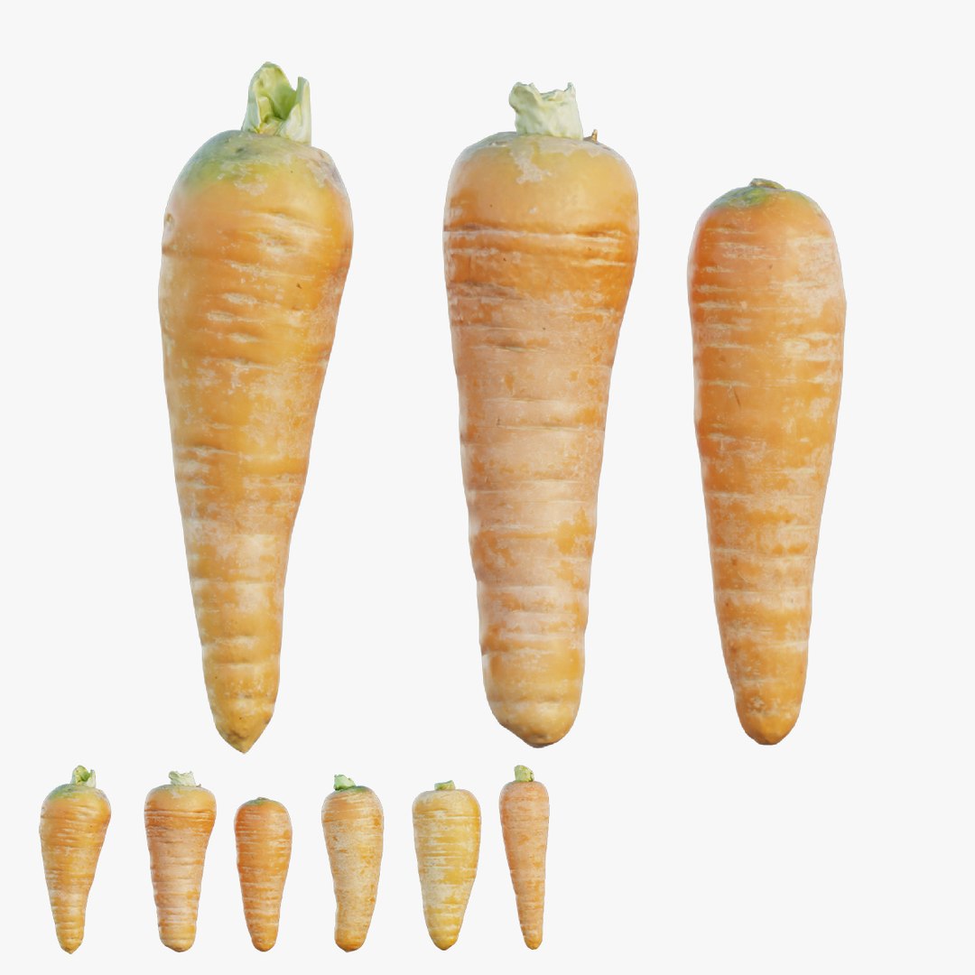 3D Carrot Model - TurboSquid 1903264