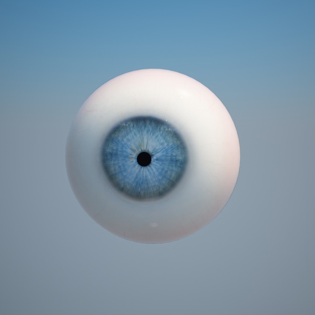 human eye 3d model