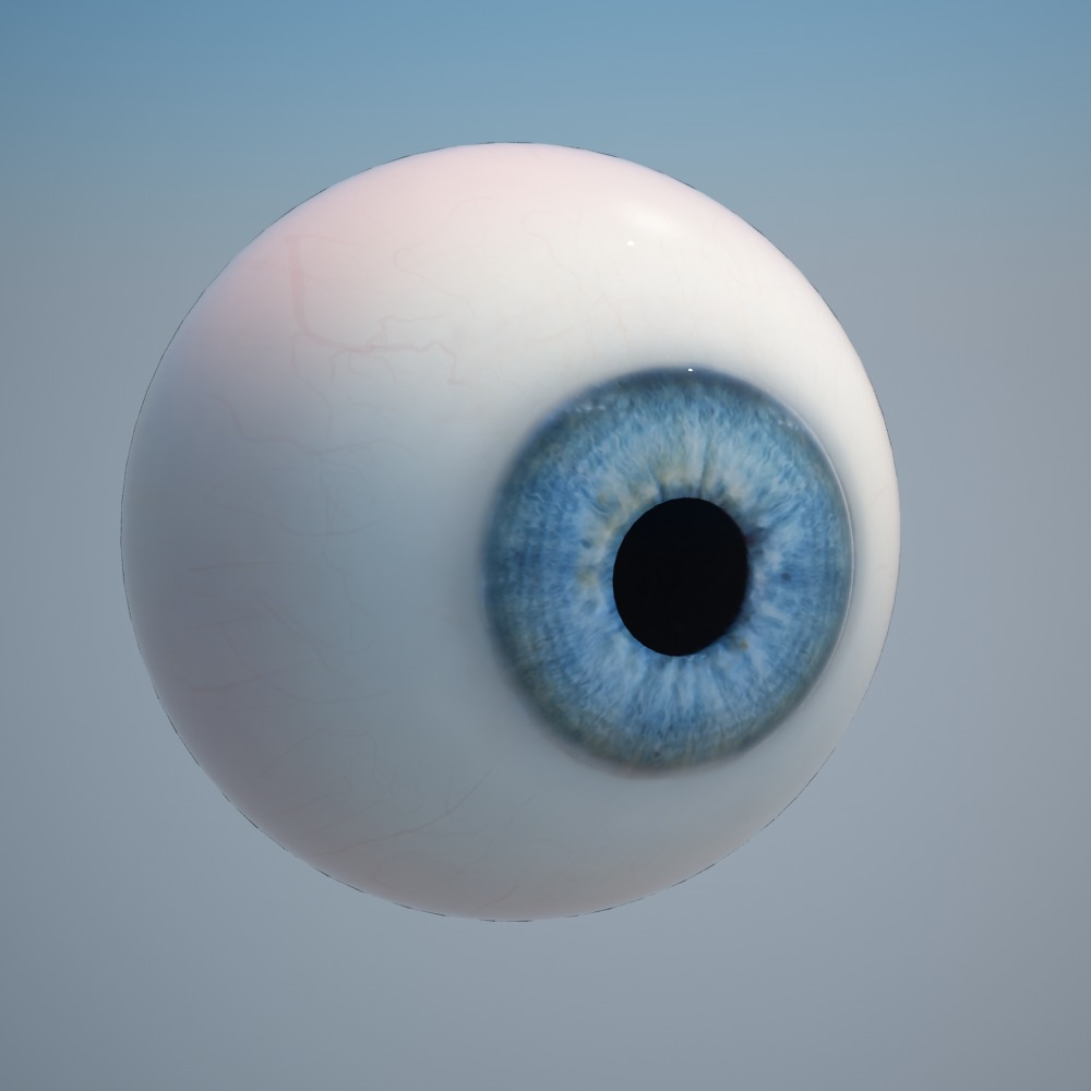 human eye 3d model