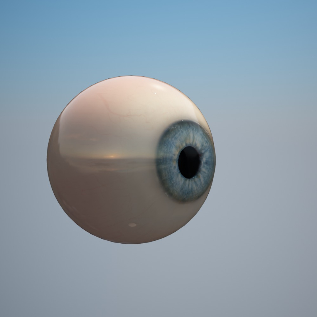 human eye 3d model