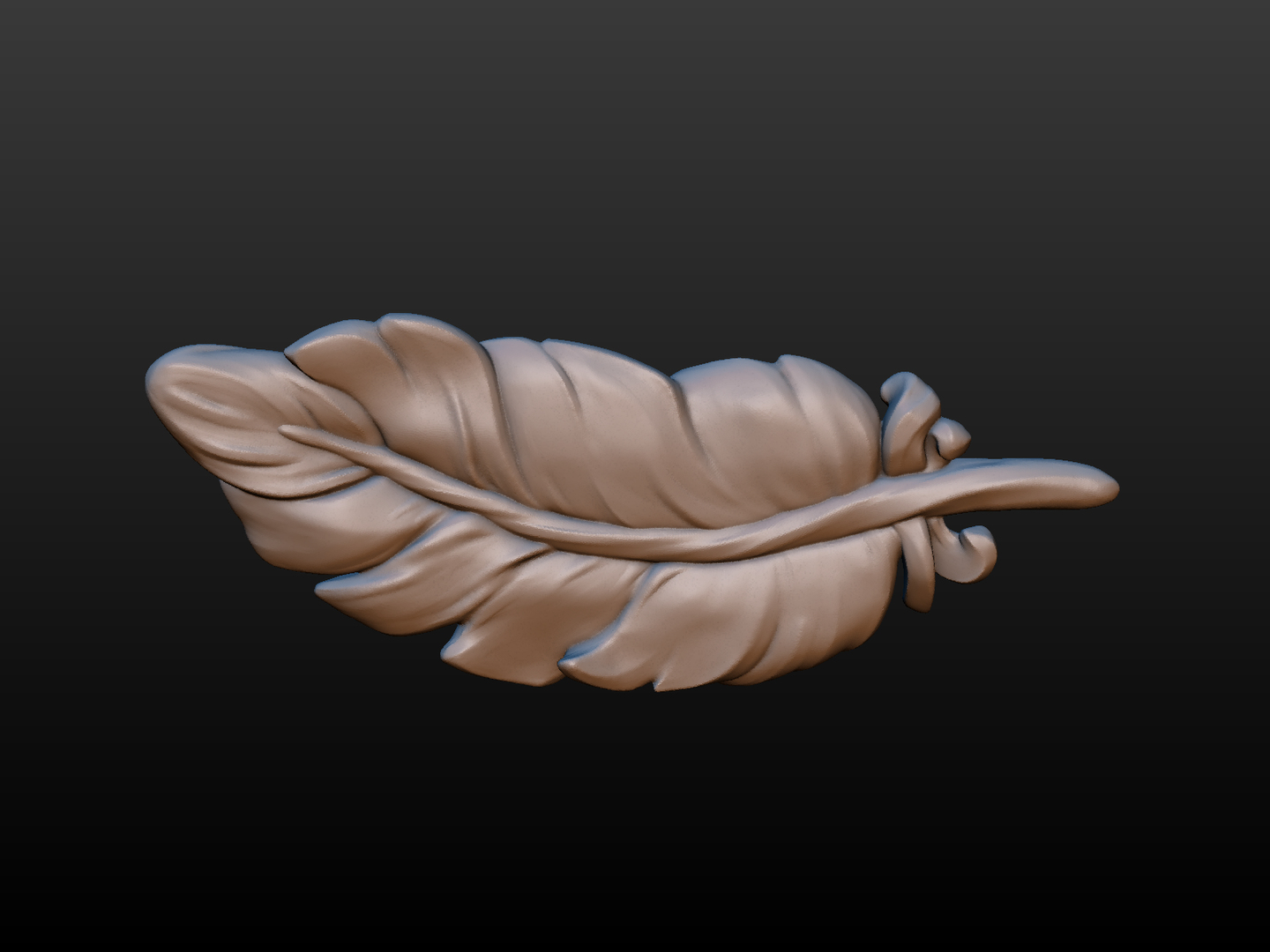 Feather Model - TurboSquid 1246567