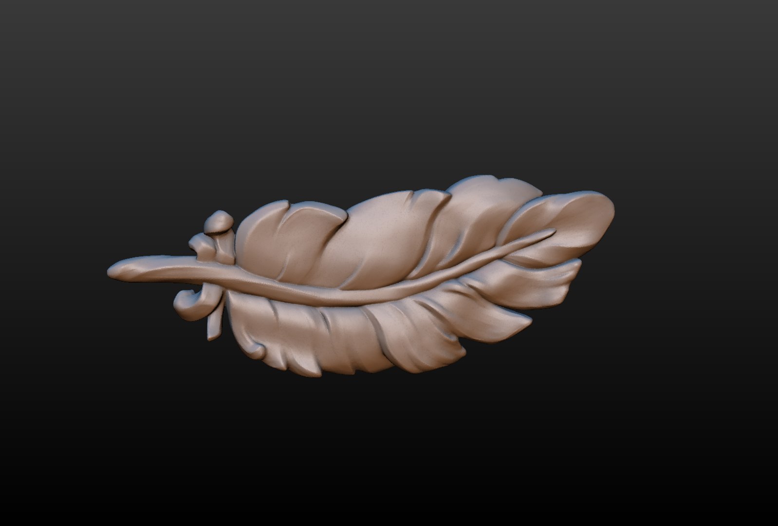 Feather Model - TurboSquid 1246567