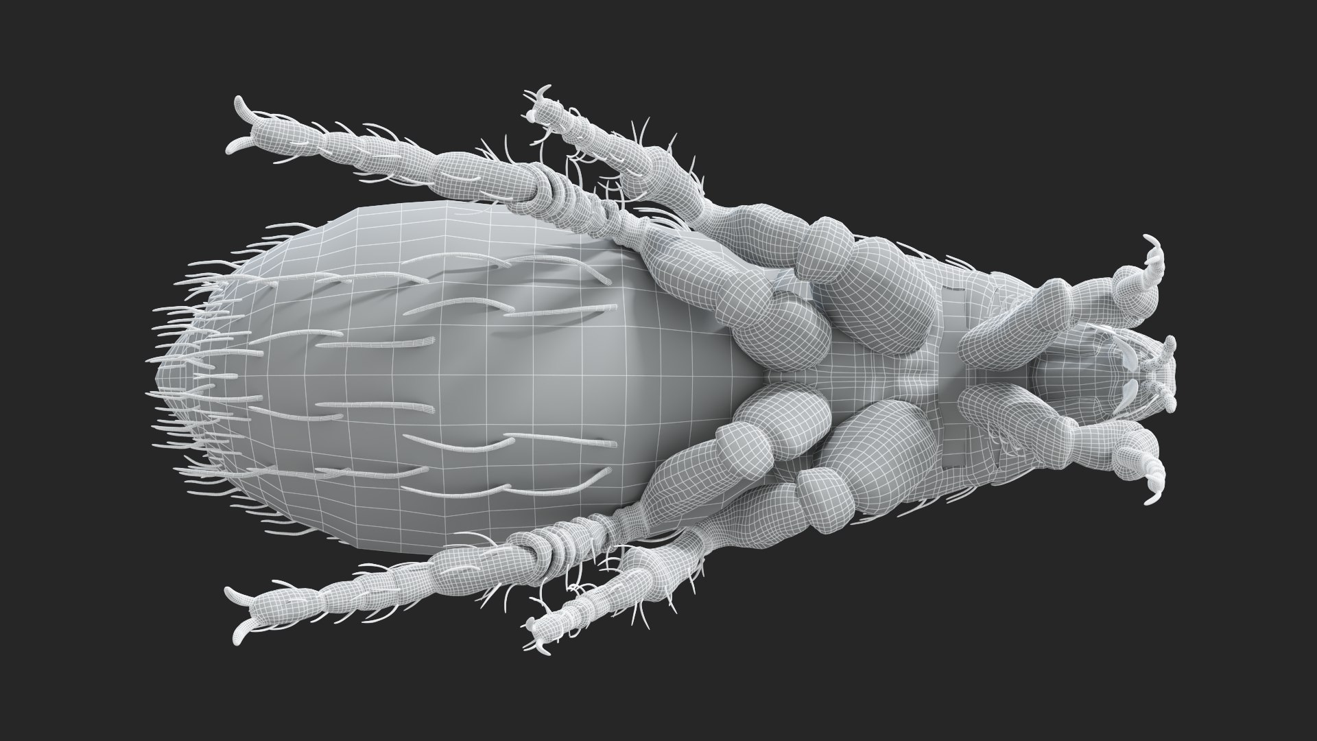 3D Flea Static - TurboSquid 2008654