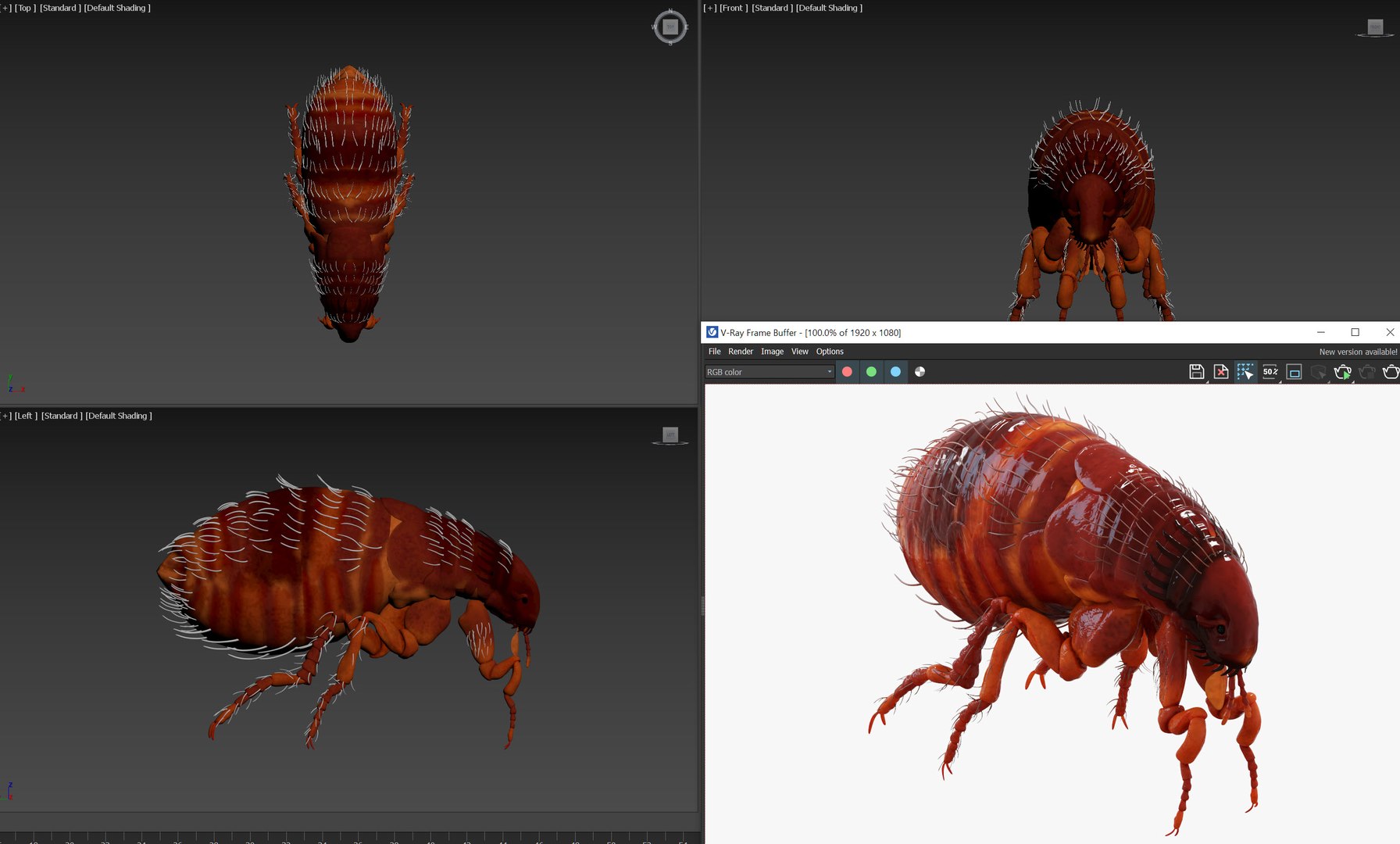 3D Flea Static - TurboSquid 2008654