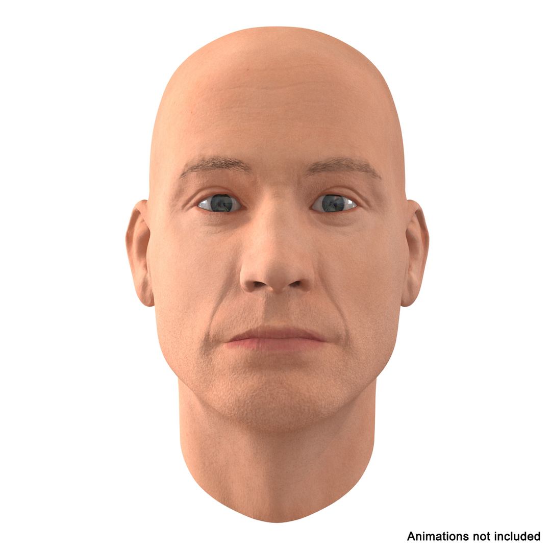 Max Male Head 4 Rigged