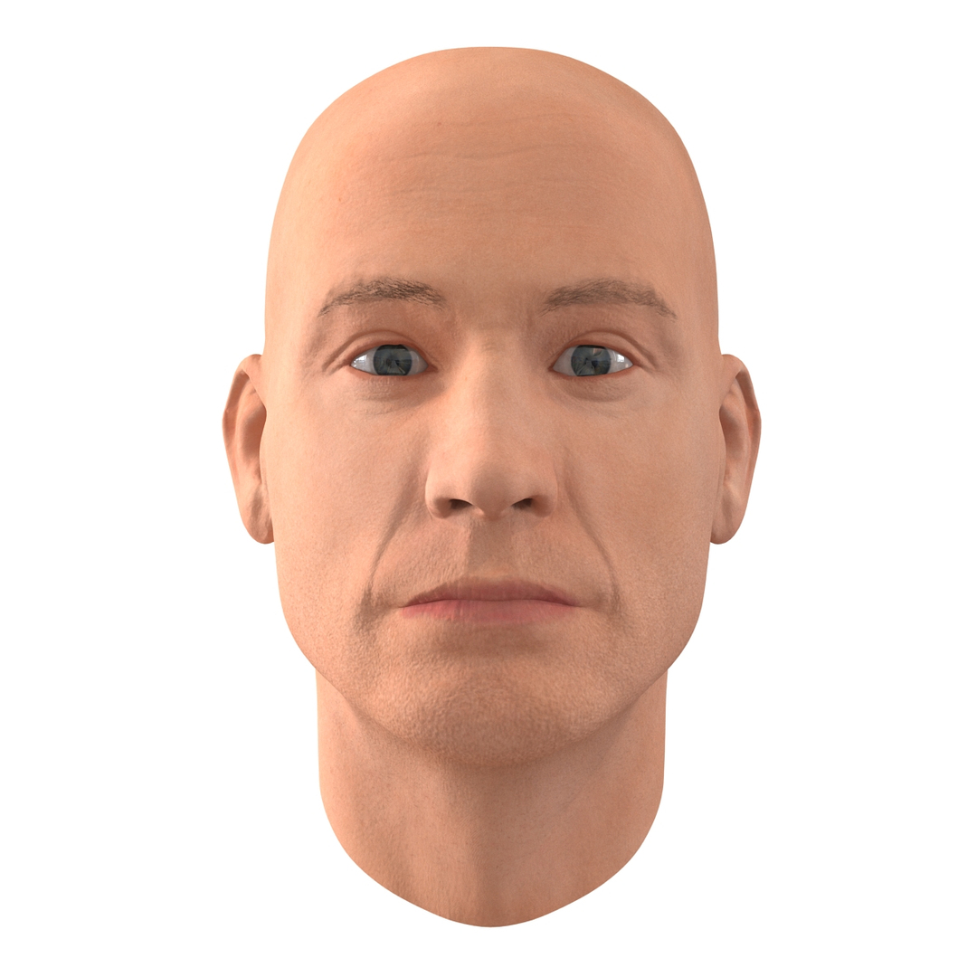Max Male Head 4 Rigged