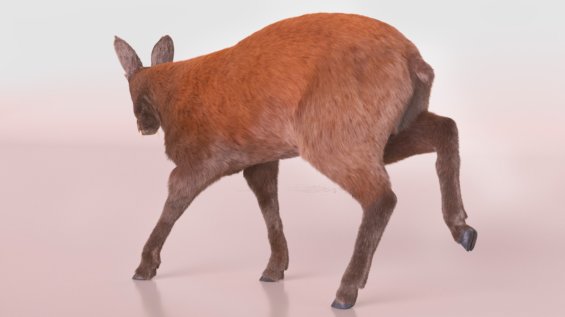 3D Grazing Musk Deer Fur - TurboSquid 2180777