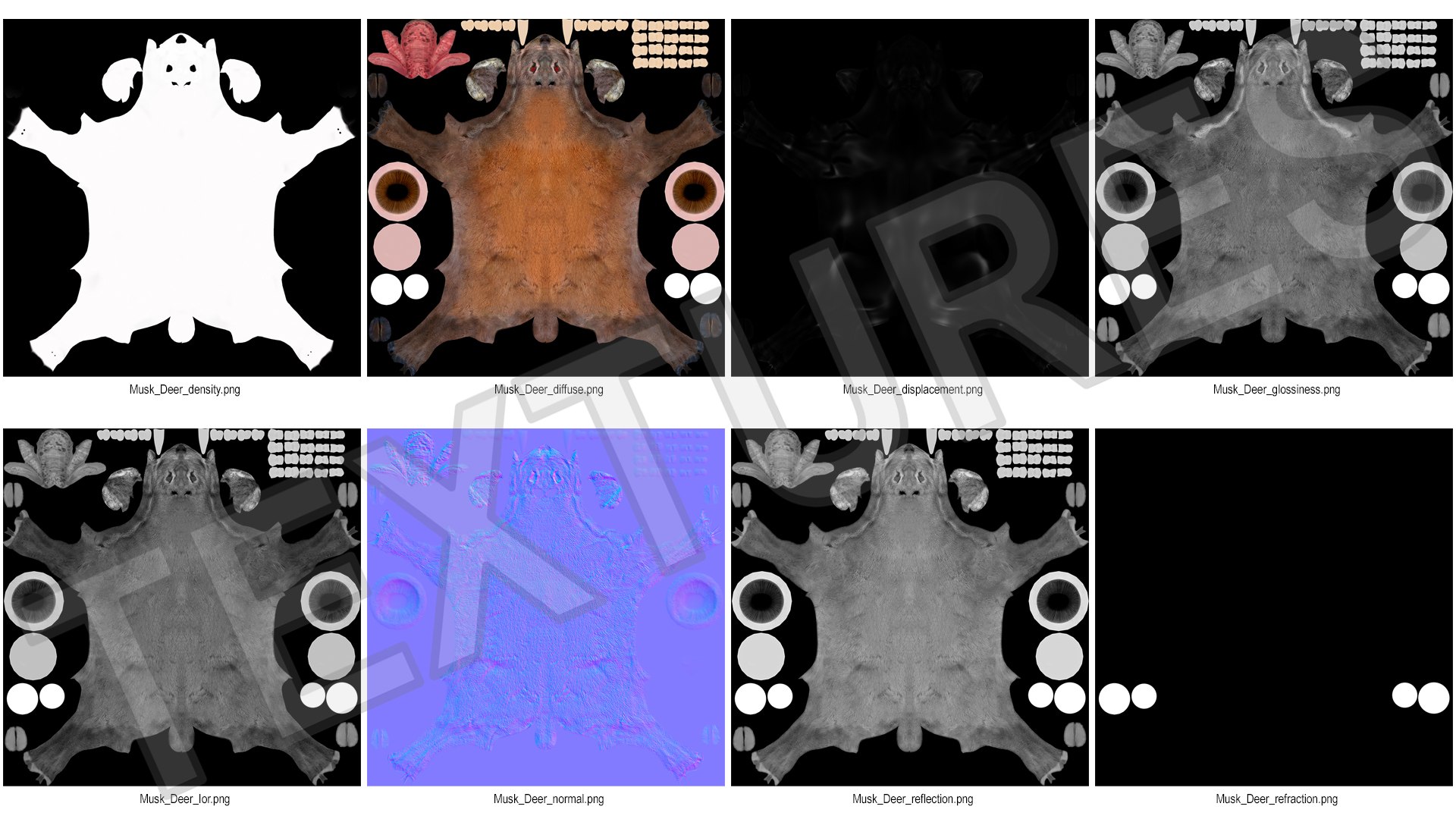 3D Grazing Musk Deer Fur - TurboSquid 2180777