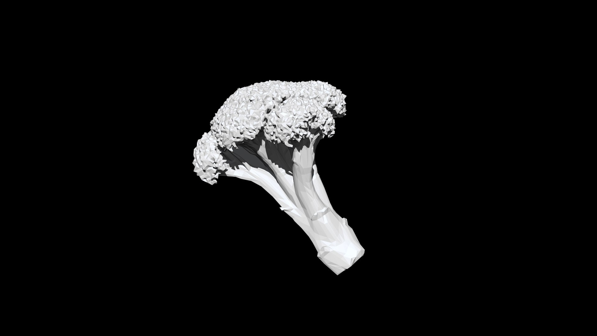 3D Model Broccoli Cut 3D CT Scan Model 2 Decimate 3percent - TurboSquid ...
