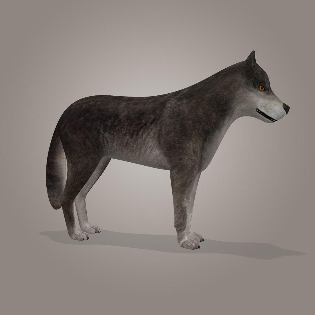 3d Model Wolf