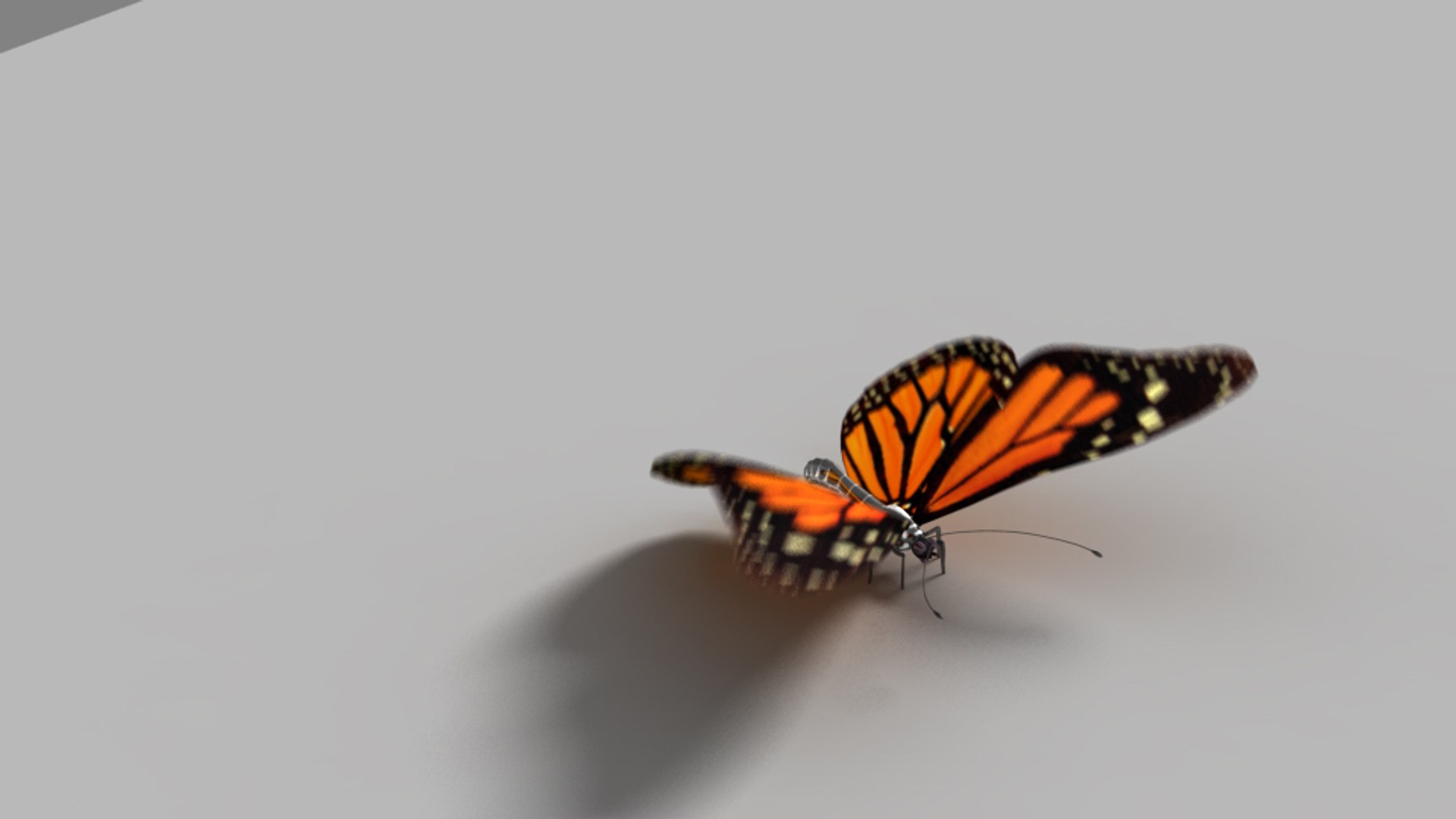 3d Animation Landing Model