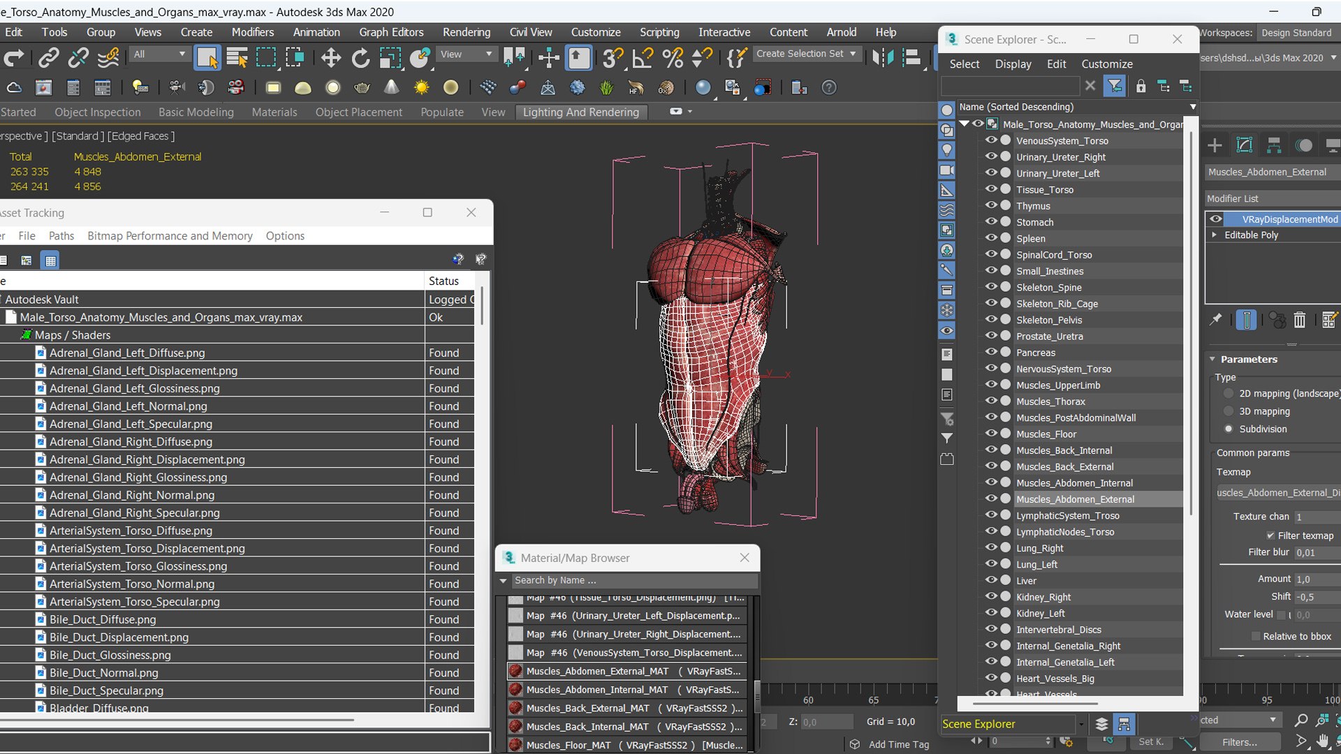 Male Torso Anatomy Muscles And Organs 3D Model - TurboSquid 2414368