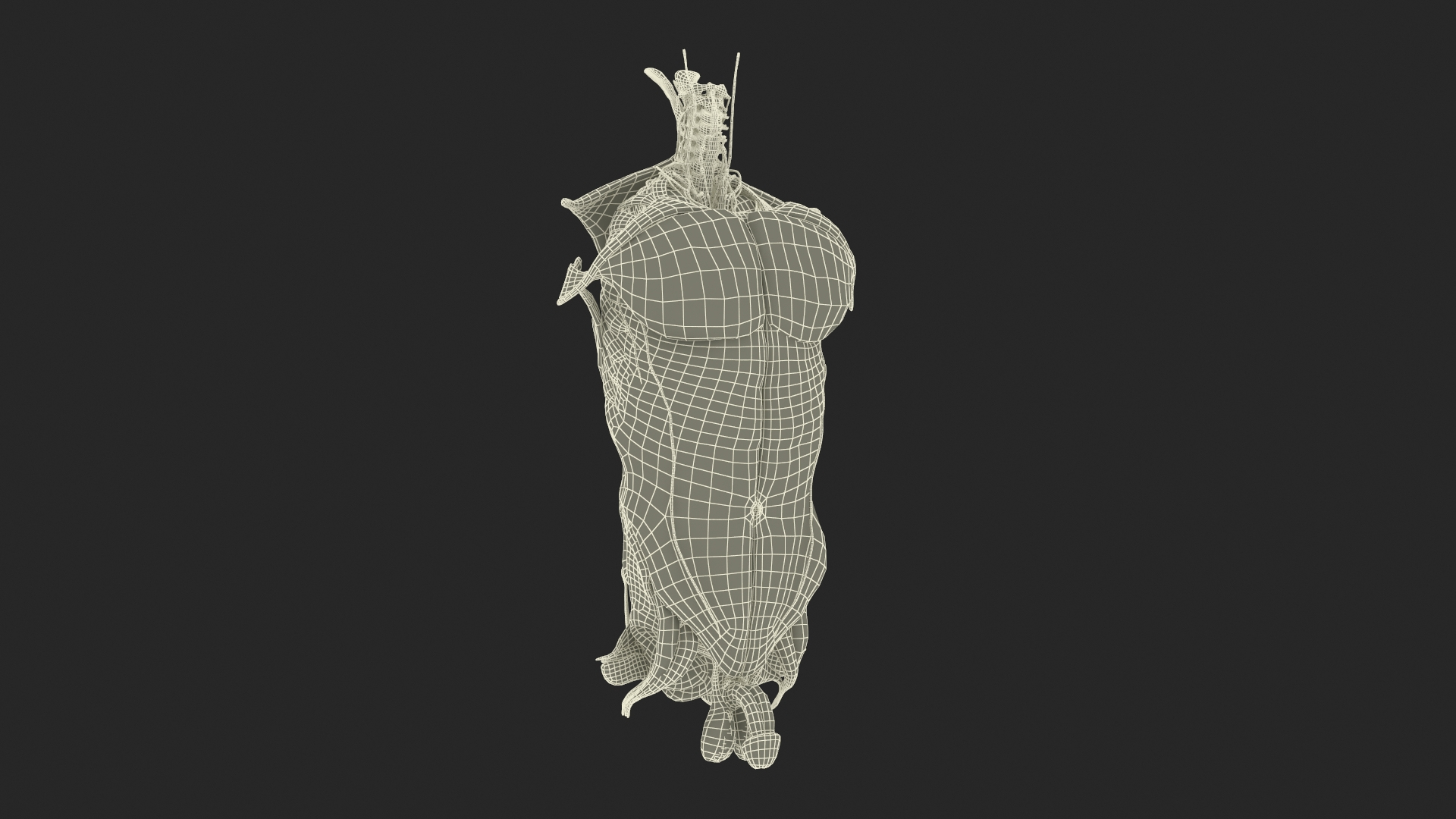 Male Torso Anatomy Muscles And Organs 3D Model - TurboSquid 2414368