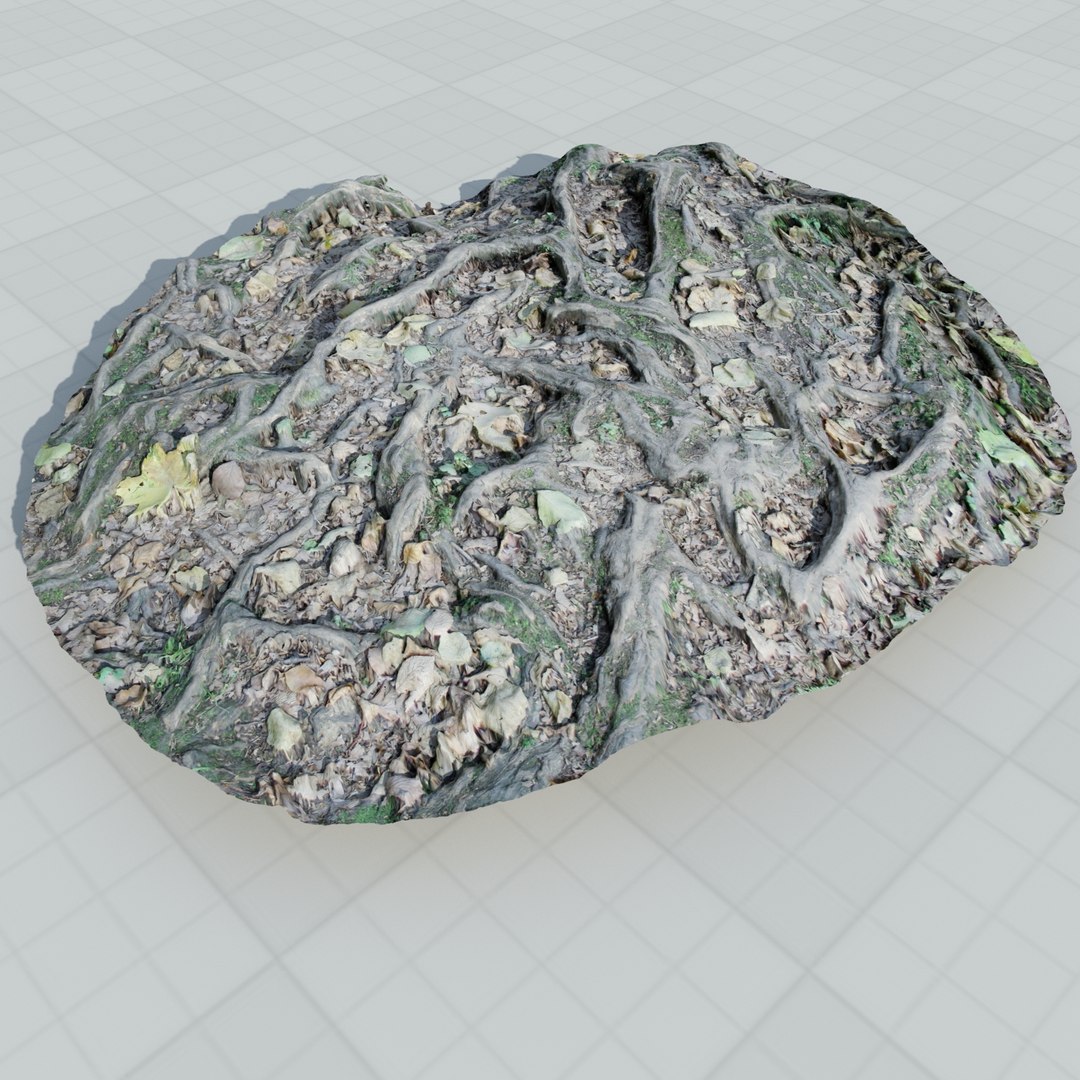 3d Model Scan Tree Roots