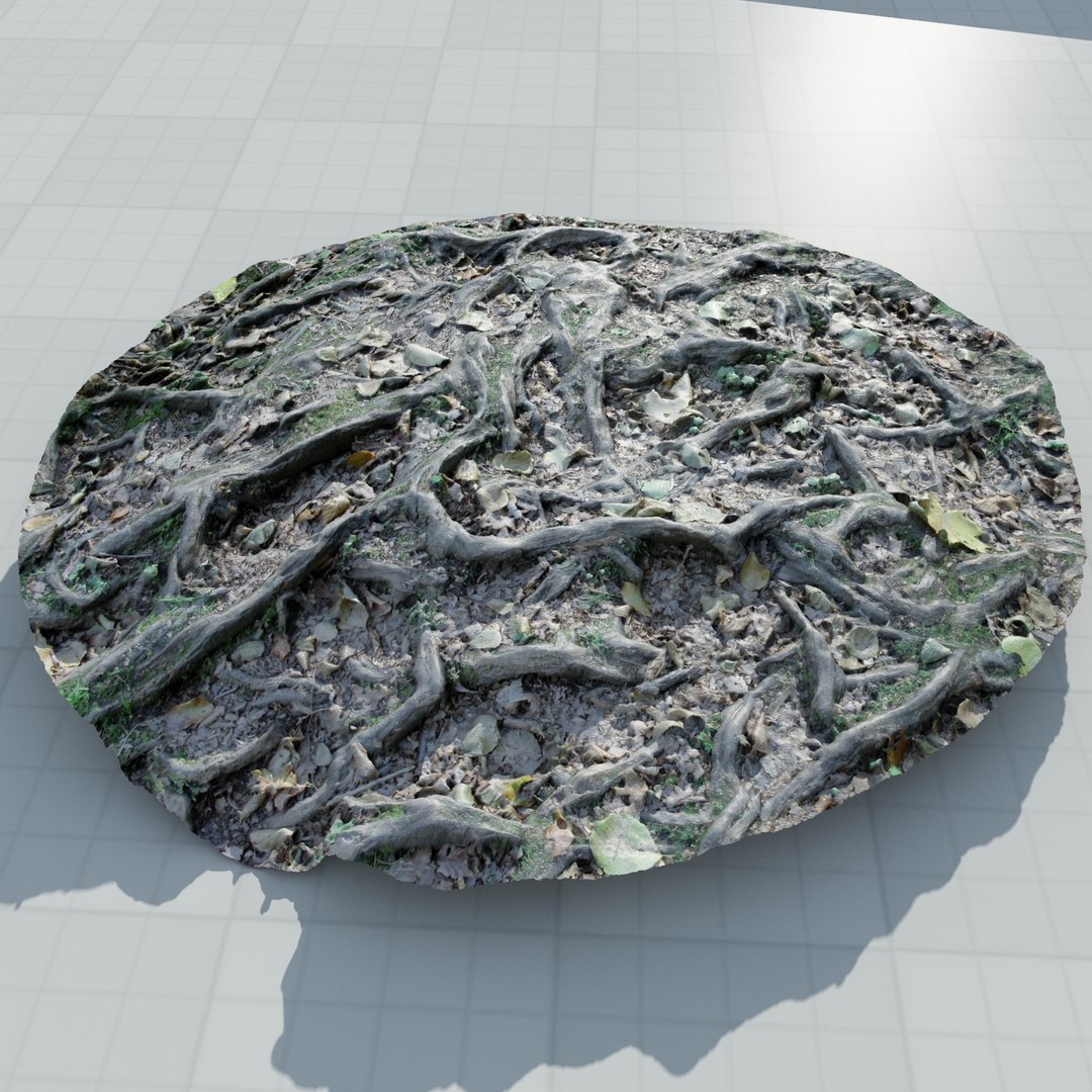 3d Model Scan Tree Roots