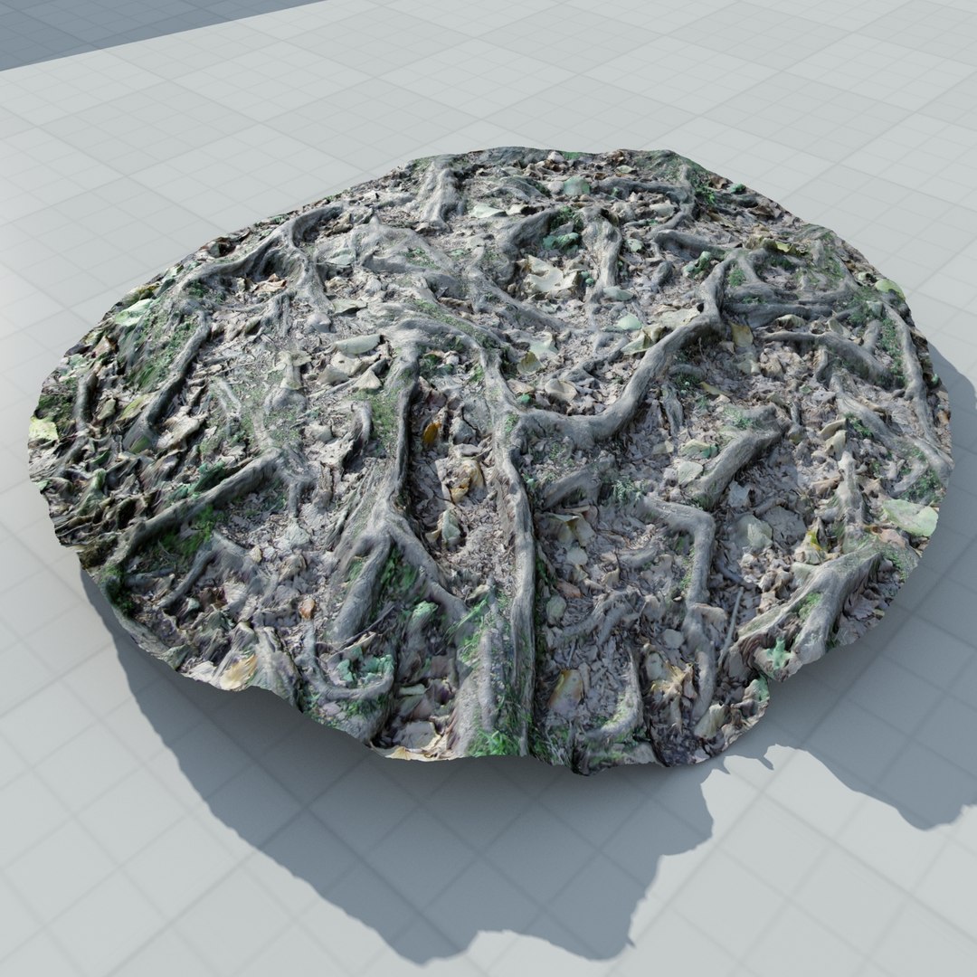 3d Model Scan Tree Roots