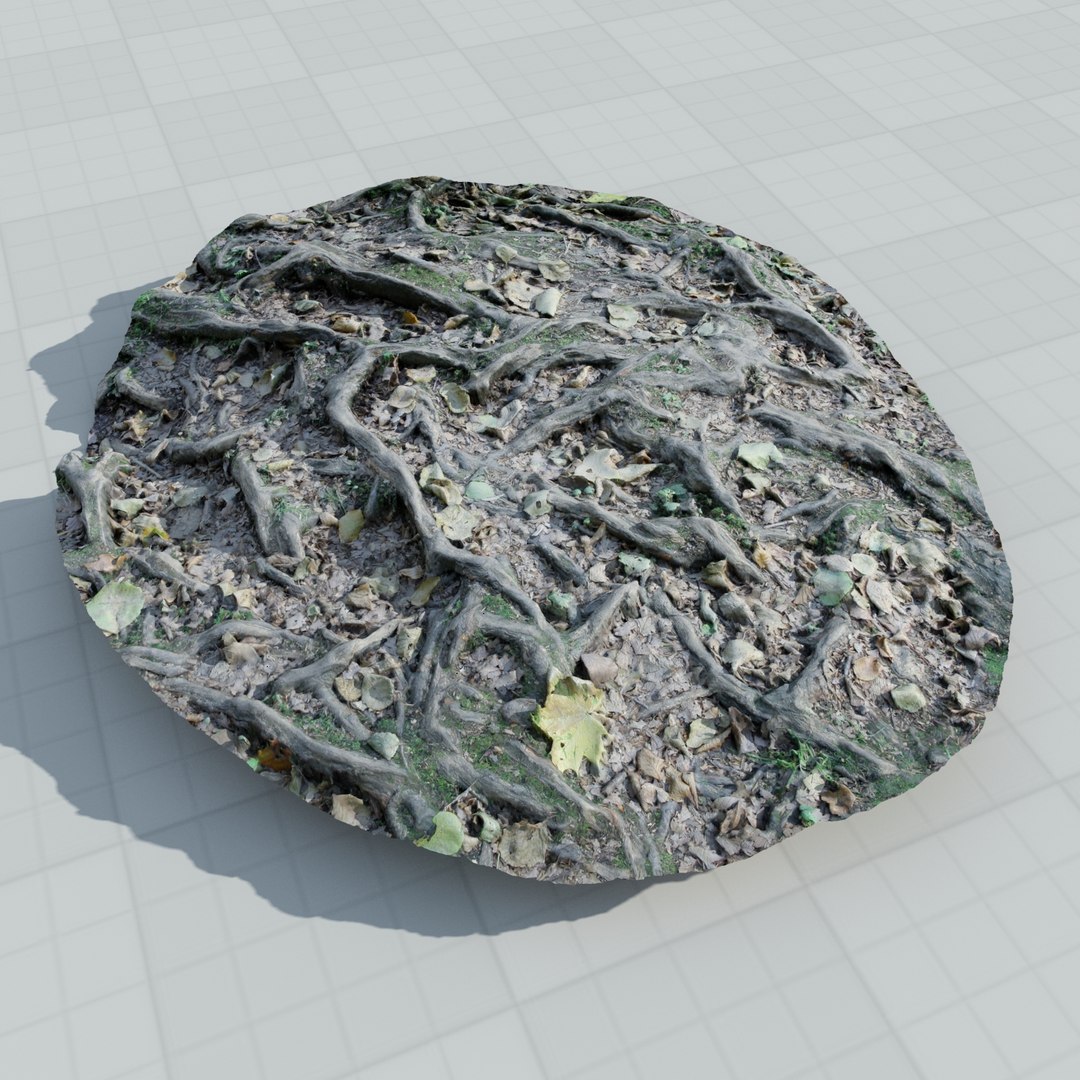 3d Model Scan Tree Roots