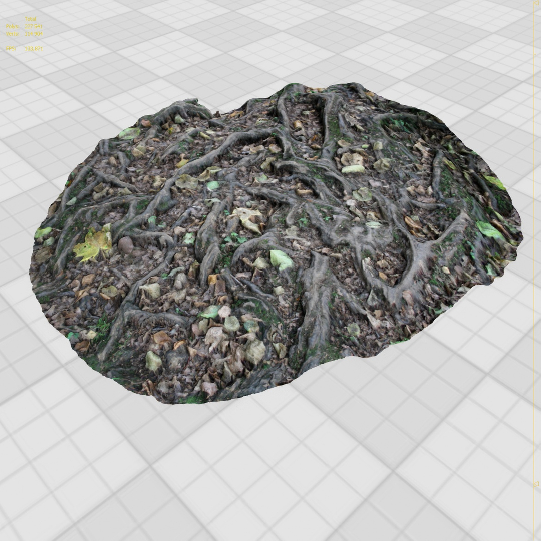 3d Model Scan Tree Roots