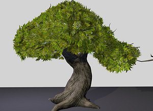 Cars 3D model - TurboSquid 1425276