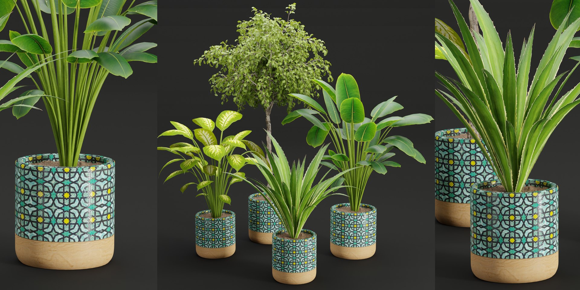 3D Plants New Collection Vol 21-Blender - TurboSquid 2107460