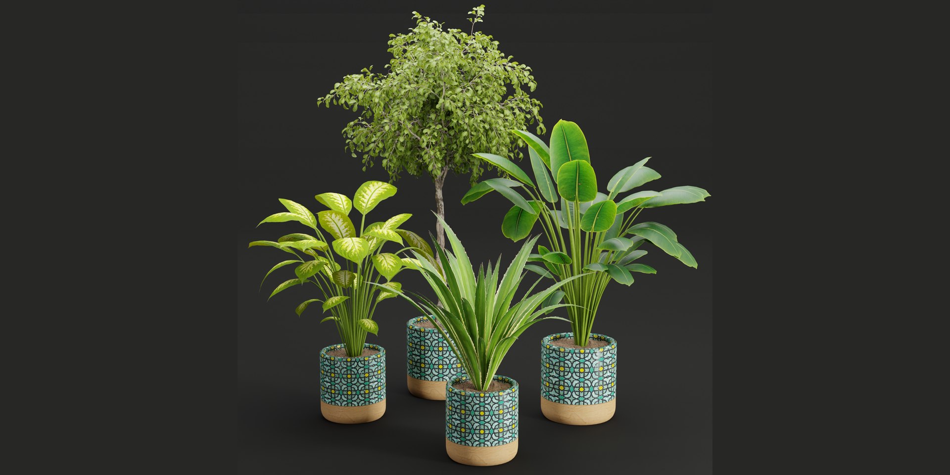3D Plants New Collection Vol 21-Blender - TurboSquid 2107460