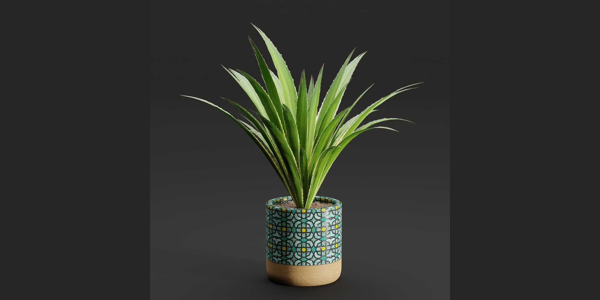 3D Plants New Collection Vol 21-Blender - TurboSquid 2107460