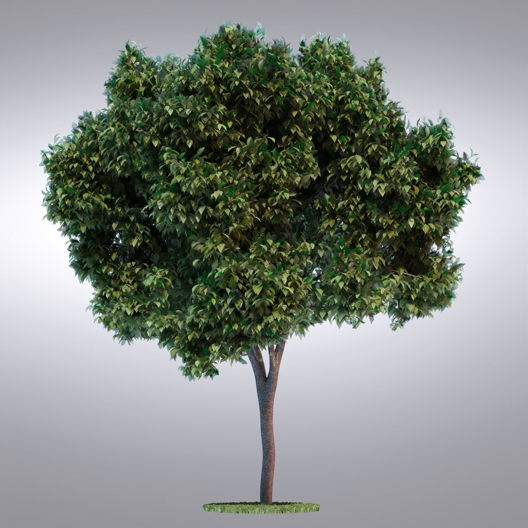hi realistic series tree 3d model