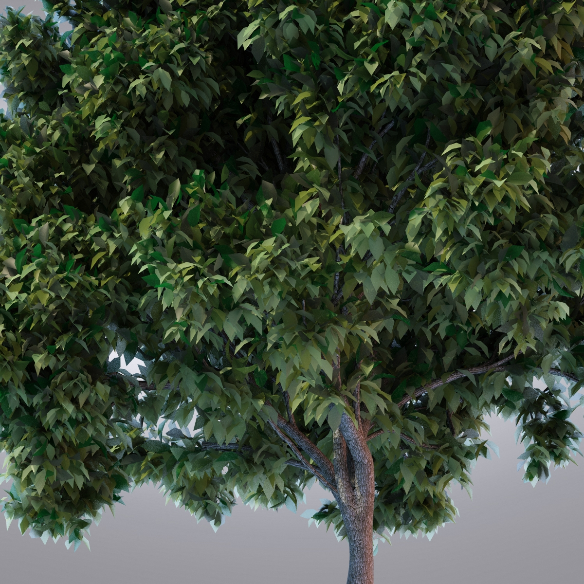 hi realistic series tree 3d model