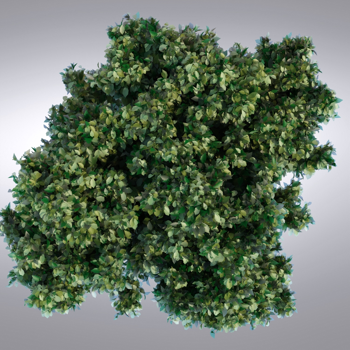 hi realistic series tree 3d model